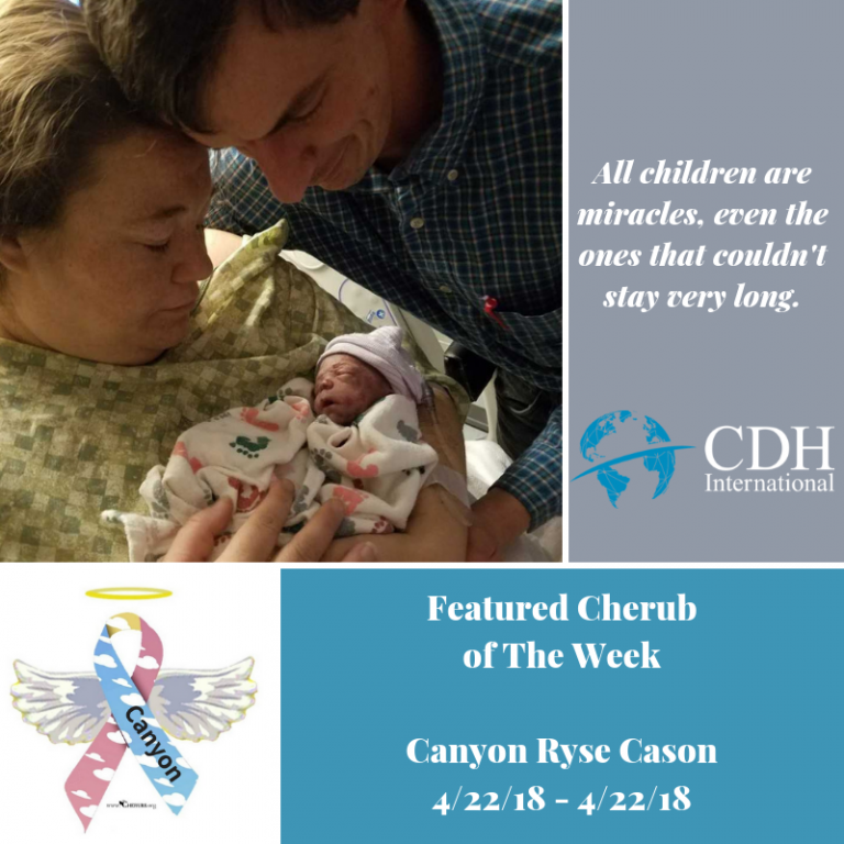 CDH International - A Global Initiative to Stop Congenital ...