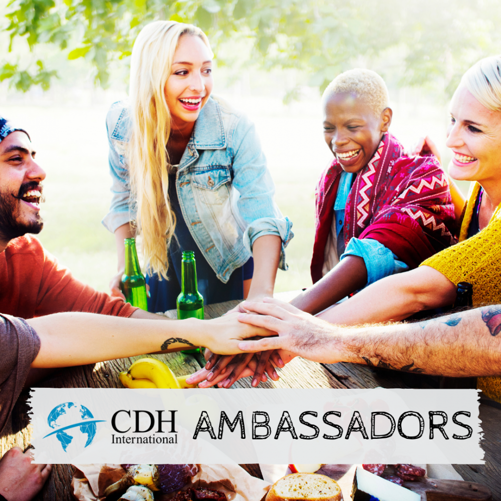 CDH International - A Global Initiative to Stop Congenital Diaphragmatic Hernia - CDH Awareness ...