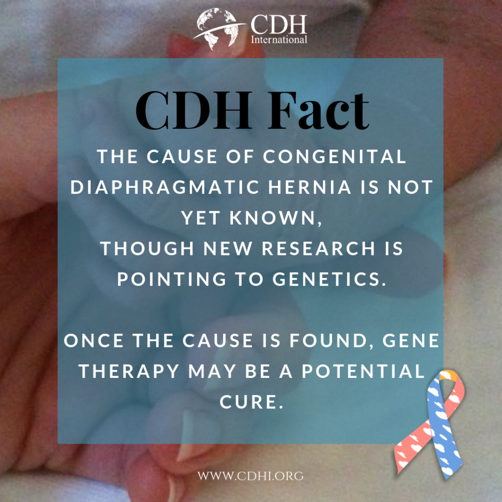 CDH International - A Global Initiative to Stop Congenital ...