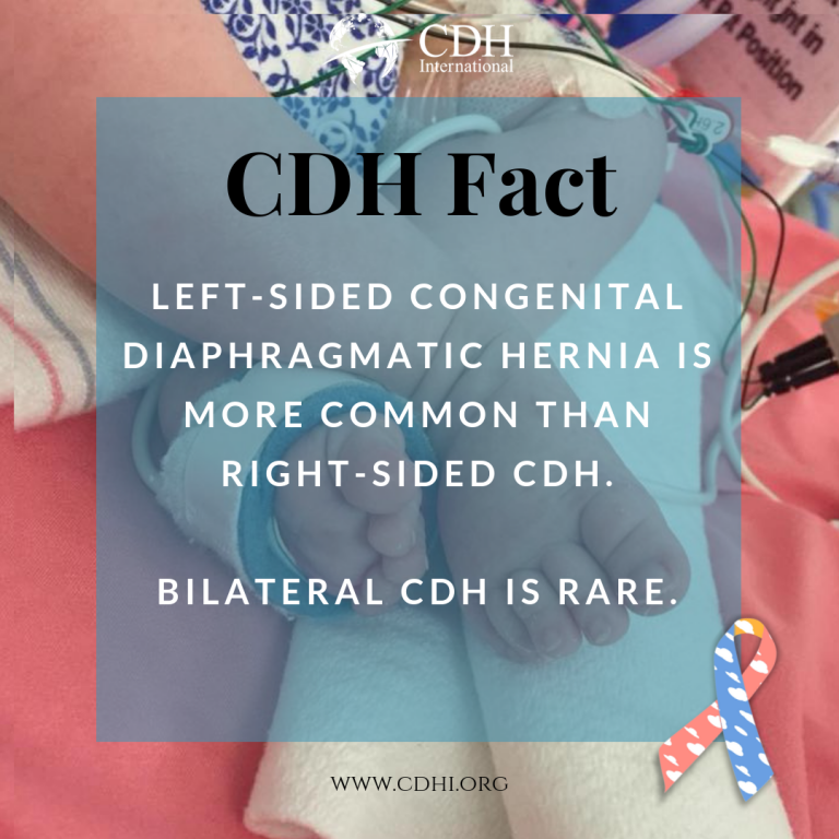 CDH International - A Global Initiative to Stop Congenital ...
