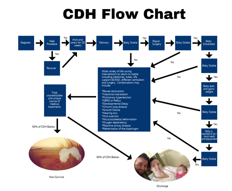 Congenital Diaphragmatic Hernia Treatments