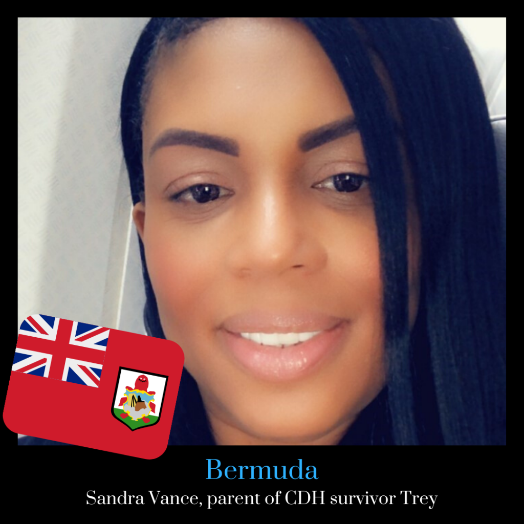 Featured CDHi Bermuda Ambassador Sandra Vance