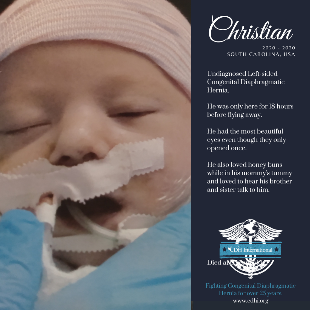 CDH Research International - A Global Initiative to Stop Congenital ...