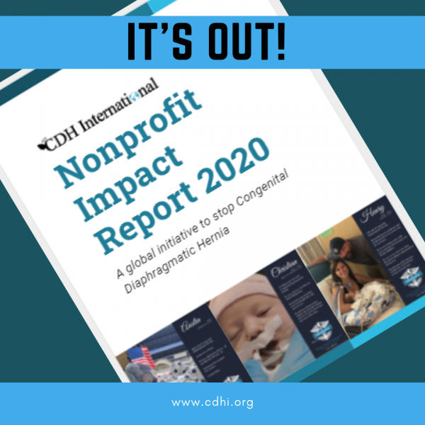 CDH International Nonprofit Impact Report 2020