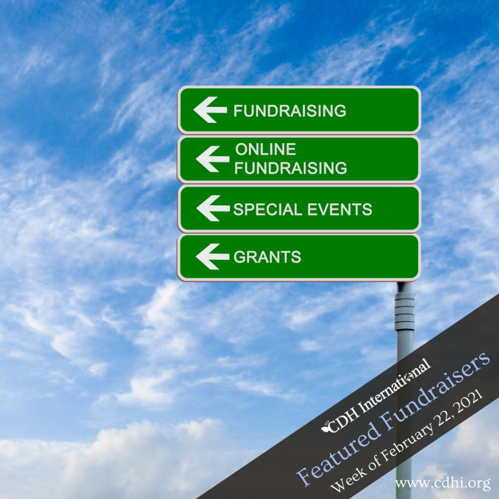 CDH International - A Global Initiative to Stop Congenital ...