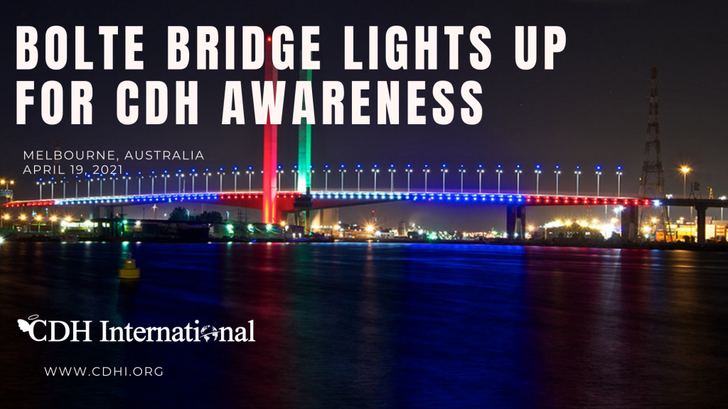 CDH International - A Global Initiative to Stop Congenital ...