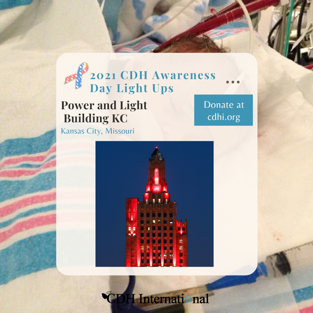 CDH International - A Global Initiative to Stop Congenital ...