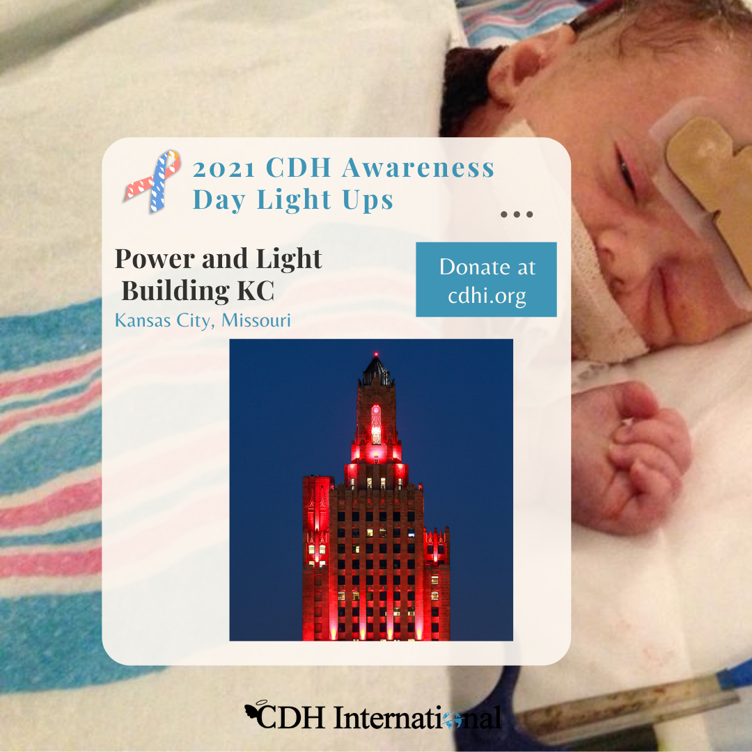 CDH International - A Global Initiative to Stop Congenital ...