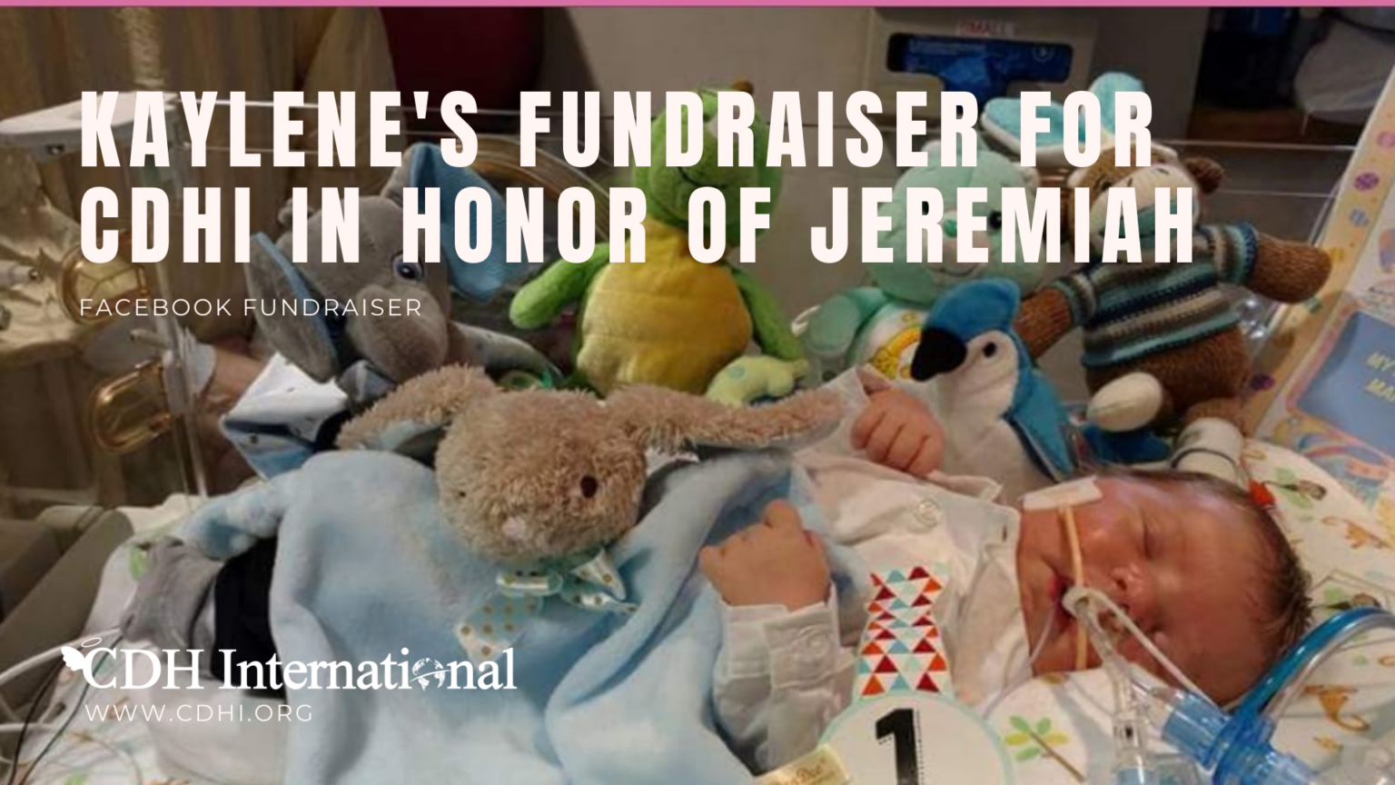 CDH International - A Global Initiative to Stop Congenital ...