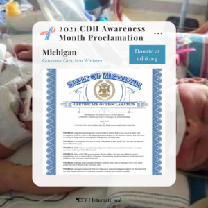 CDH International - A Global Initiative to Stop Congenital ...