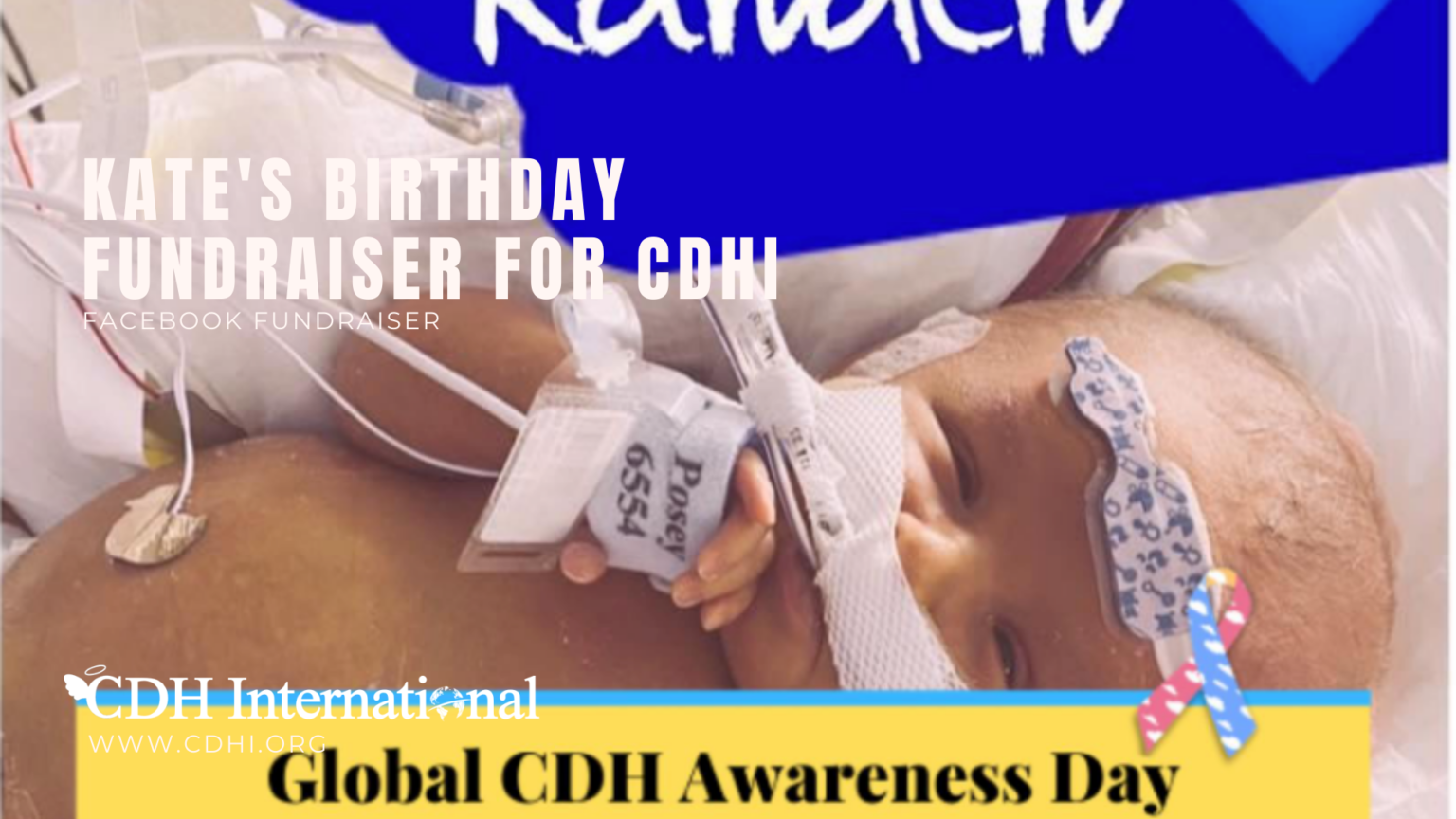 CDH International - A Global Initiative to Stop Congenital ...