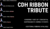 CDH International - A Global Initiative to Stop Congenital ...