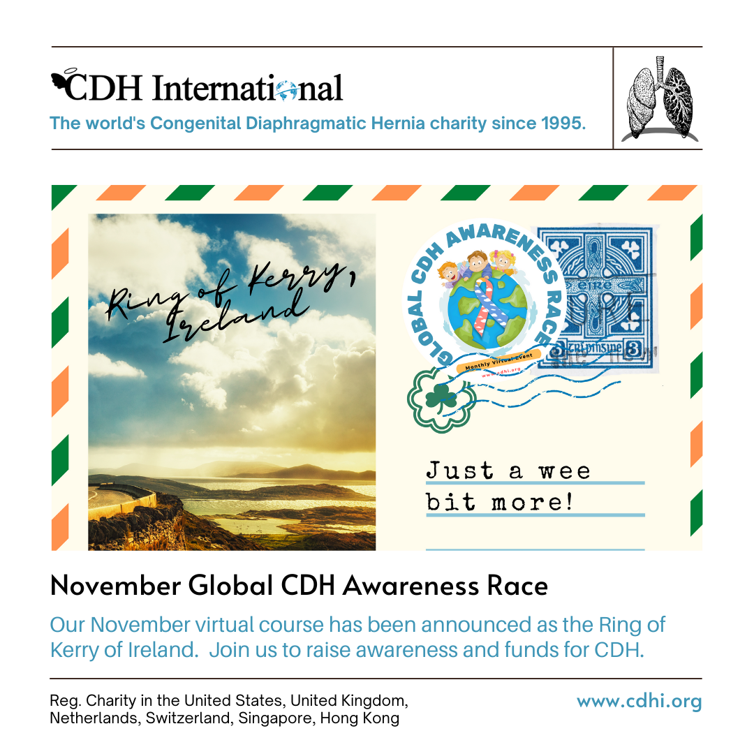CDH Research International - A Global Initiative to Stop Congenital ...