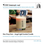 CDH International - A Global Initiative to Stop Congenital ...