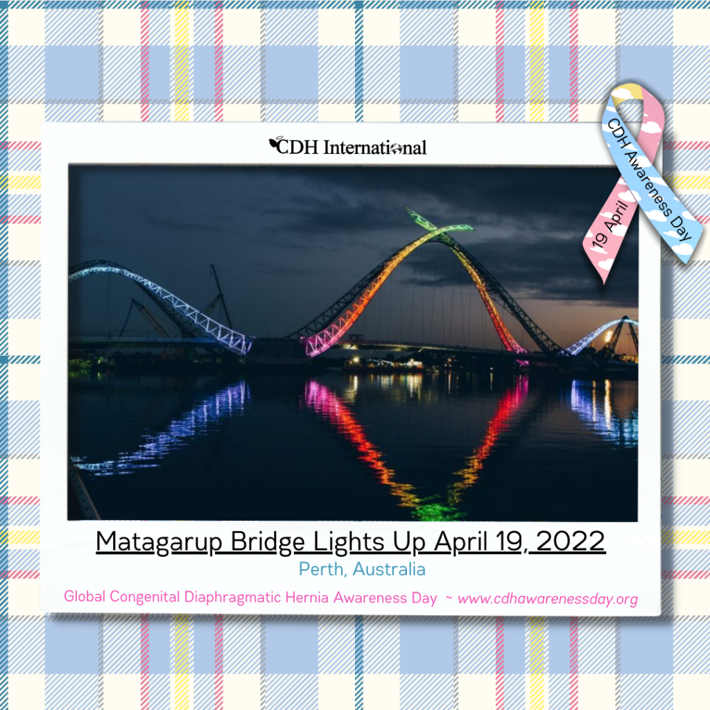 CDH Research International - The Matagarup Bridge Lights Up for CDH ...