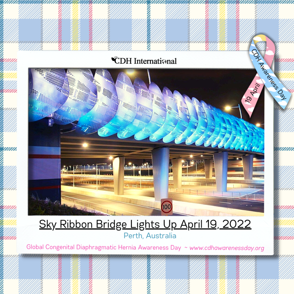 CDH Research International - The Sky Ribbon Bridge Lights Up For CDH ...
