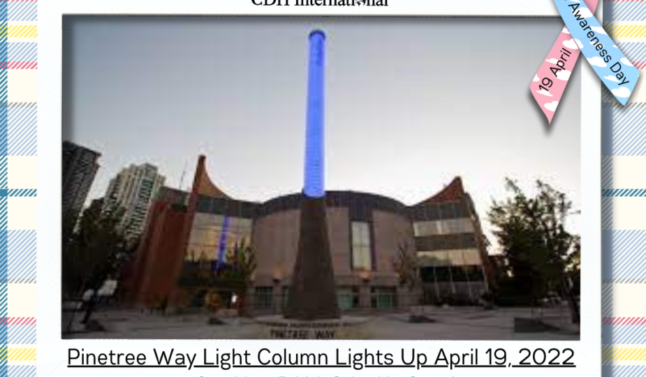 The Pinetree Way Light Column Lights Up For CDH Awareness