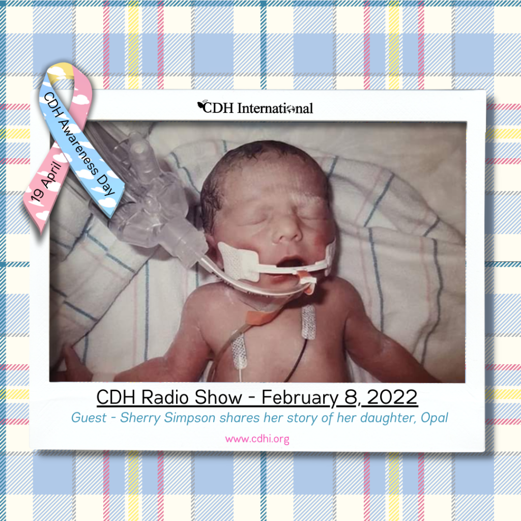CDH International - A Global Initiative to Stop Congenital ...