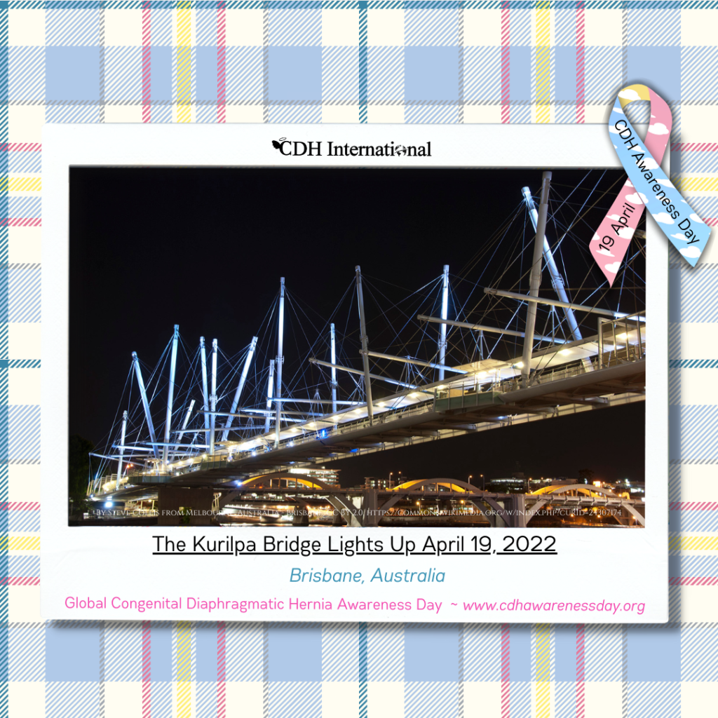 CDH Research International - The Kurilpa Bridge Lights Up For CDH Awareness