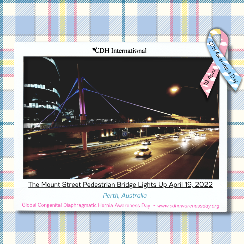 CDH International - A Global Initiative to Stop Congenital ...