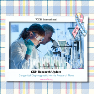 CDH Research International - A Global Initiative to Stop Congenital ...