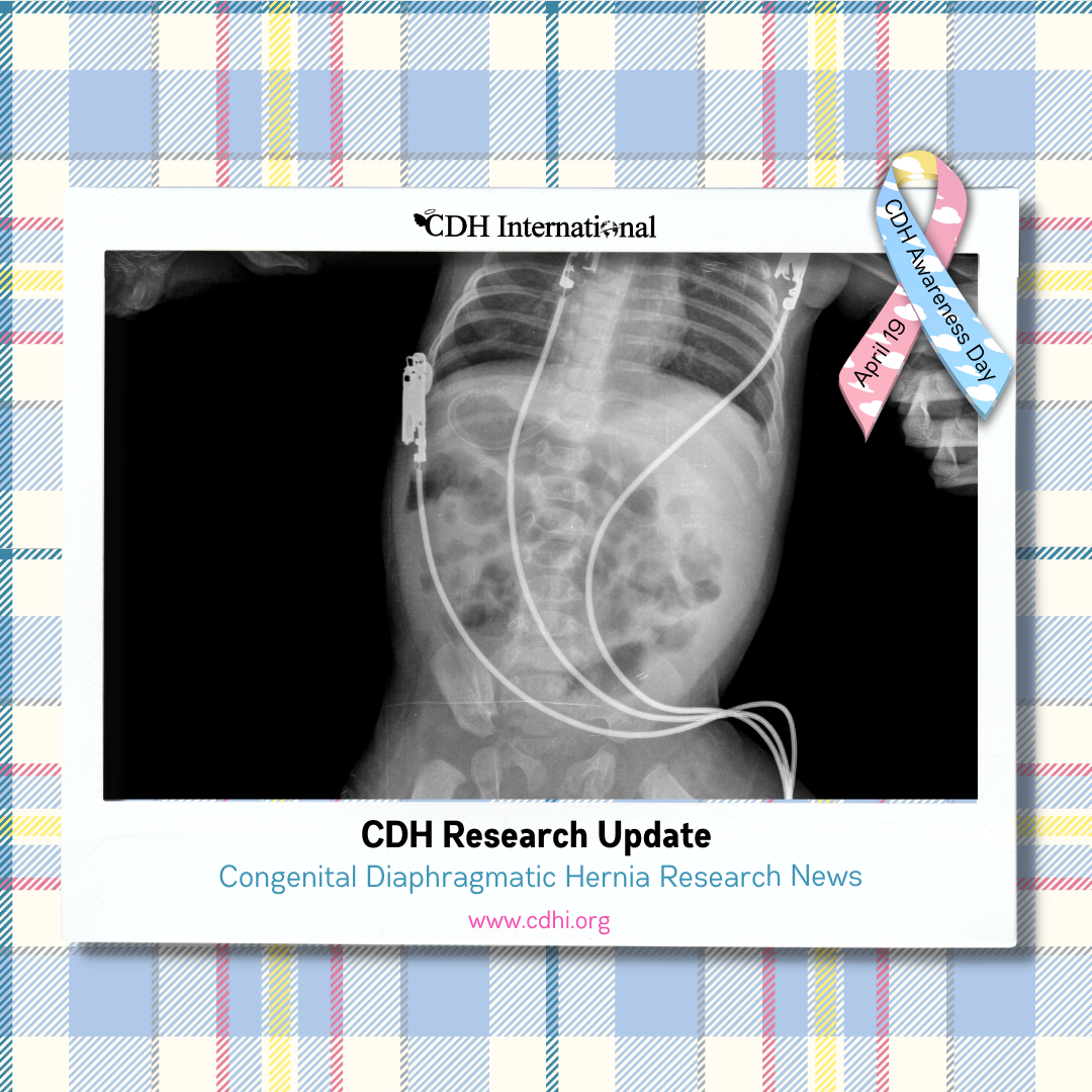 CDH International - A Global Initiative to Stop Congenital ...