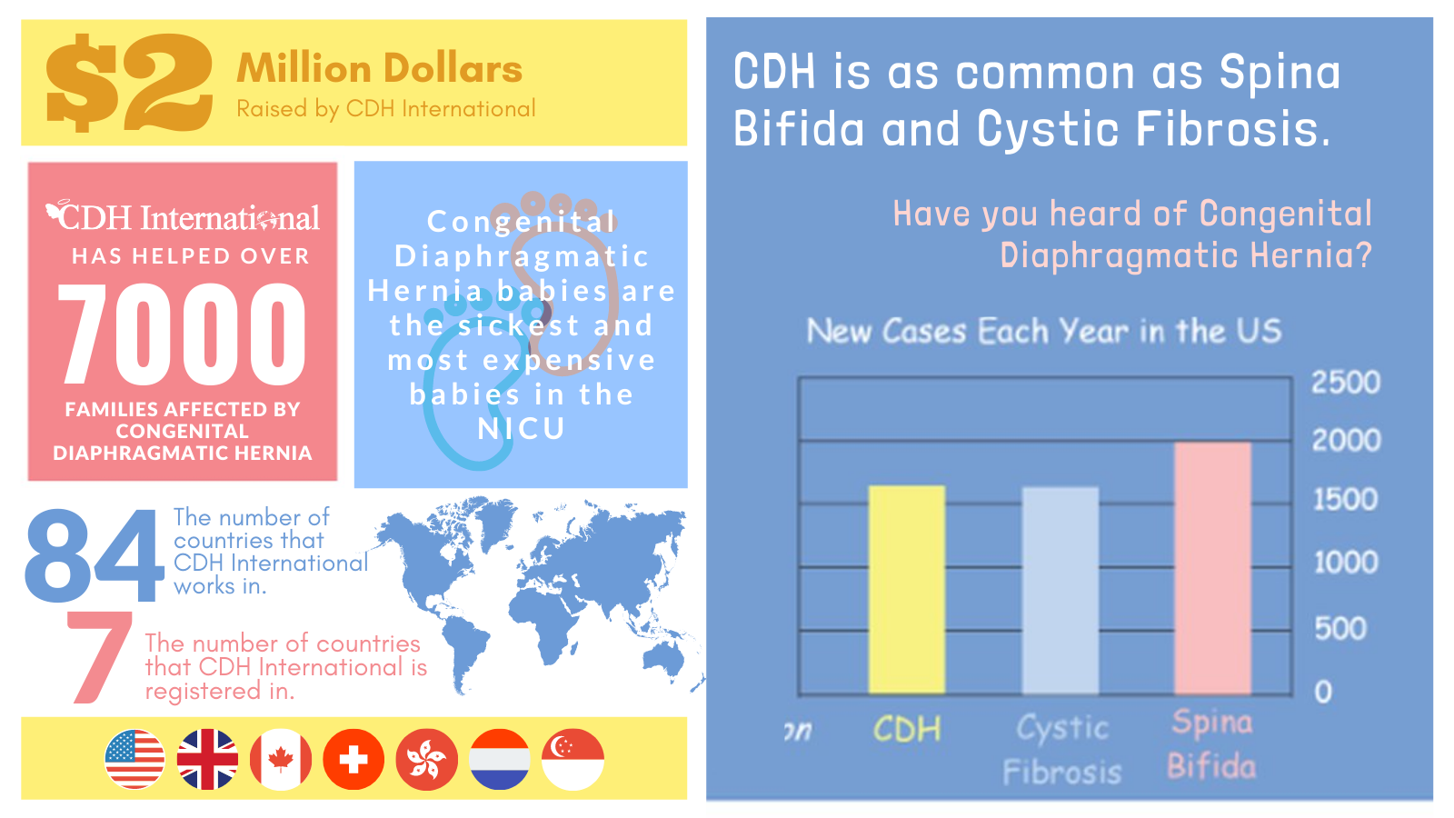 CDH International - A Global Initiative to Stop Congenital ...