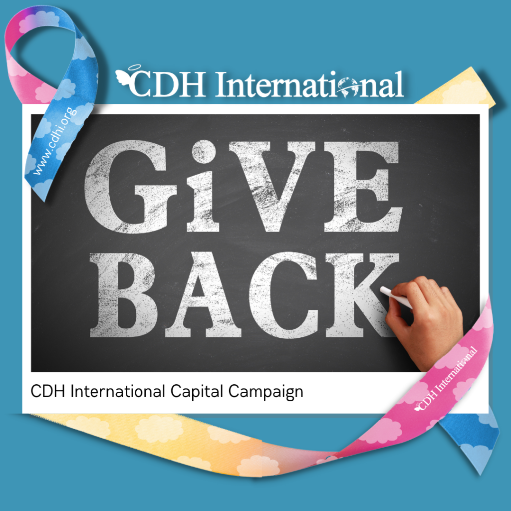 CDH Research International - 2022 CDH International Capital Campaign ...