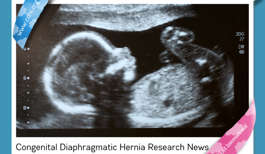 - Research: The Cellular and Molecular Effects of Fetoscopic ...