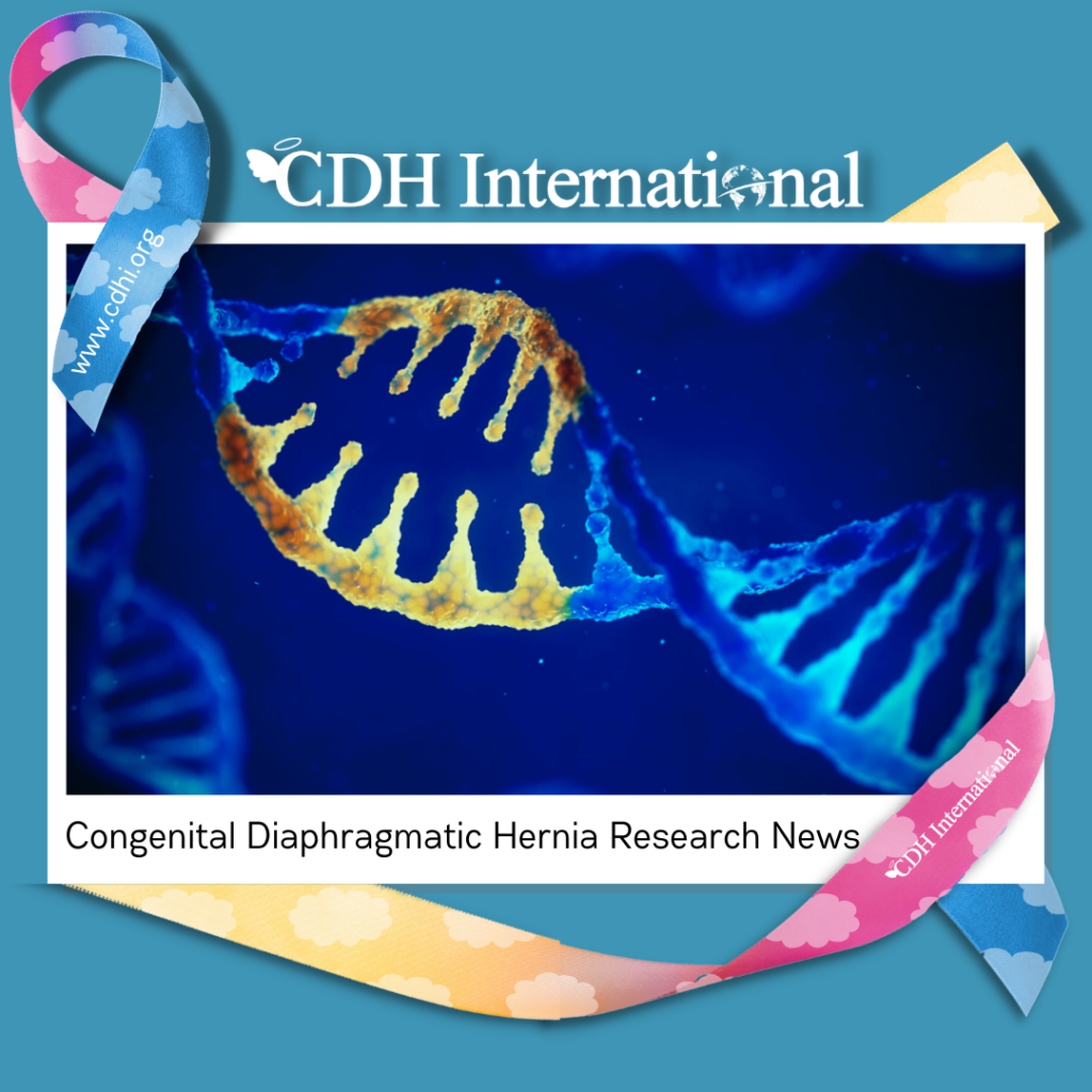 CDH International - A Global Initiative to Stop Congenital ...