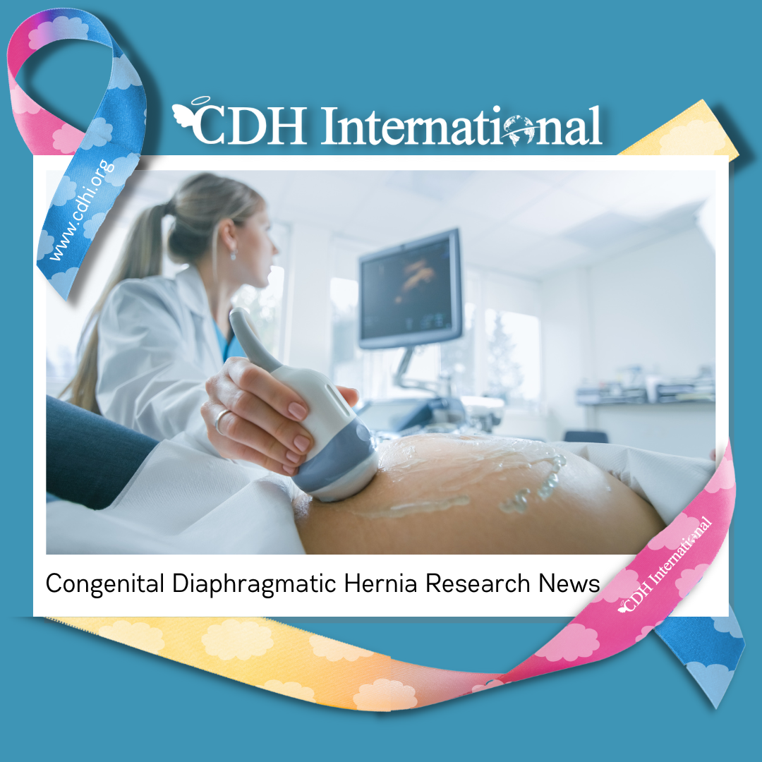 CDH Research International - A Global Initiative to Stop Congenital ...