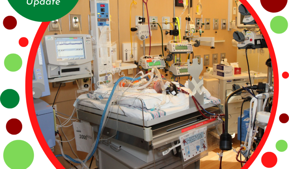 - Research: ECMO utilization in infants with congenital diaphragmatic hernia in the USA