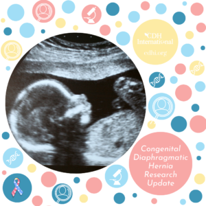 CDH Research International - Research: Fetal endoscopic tracheal ...