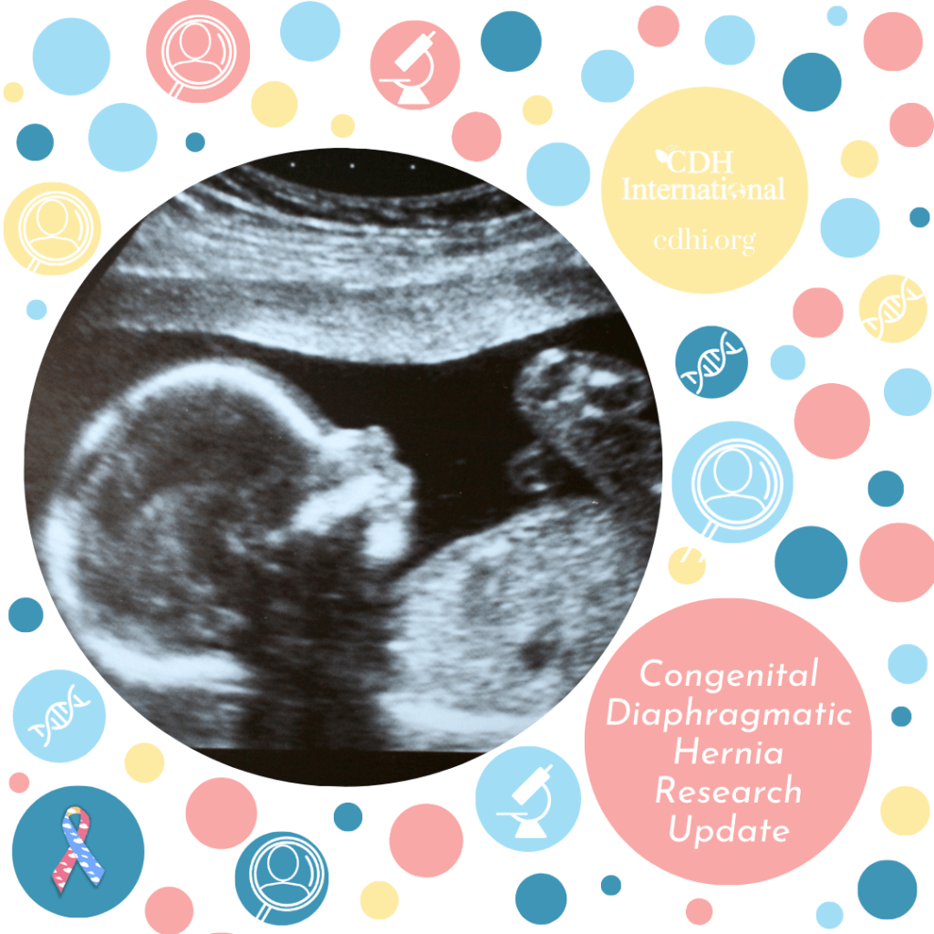 CDH International - A Global Initiative to Stop Congenital ...