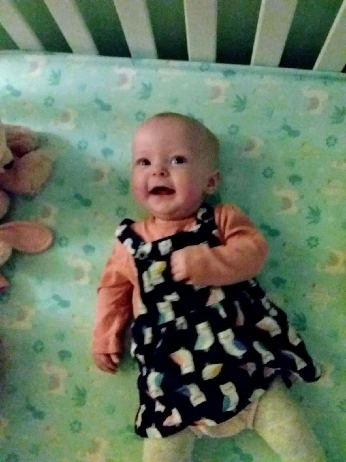 CDH International - A Global Initiative to Stop Congenital ...