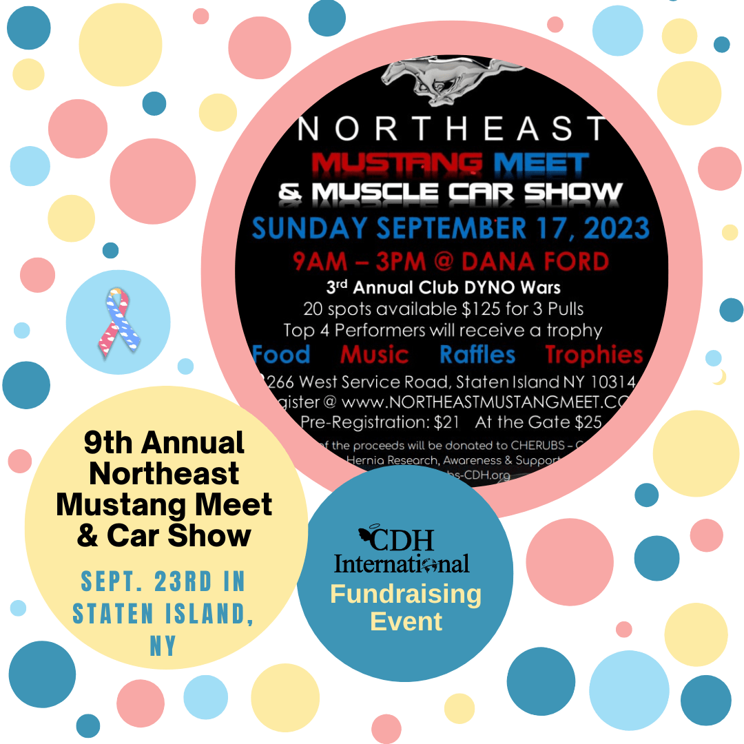 9th Annual Northeast Mustang Meet and Muscle Car Show
