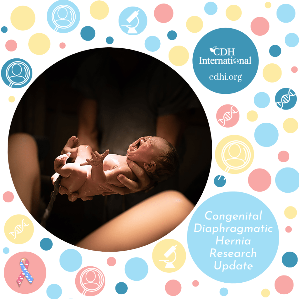 CDH Research International - Research: Reply to: Lung ultrasound in ...