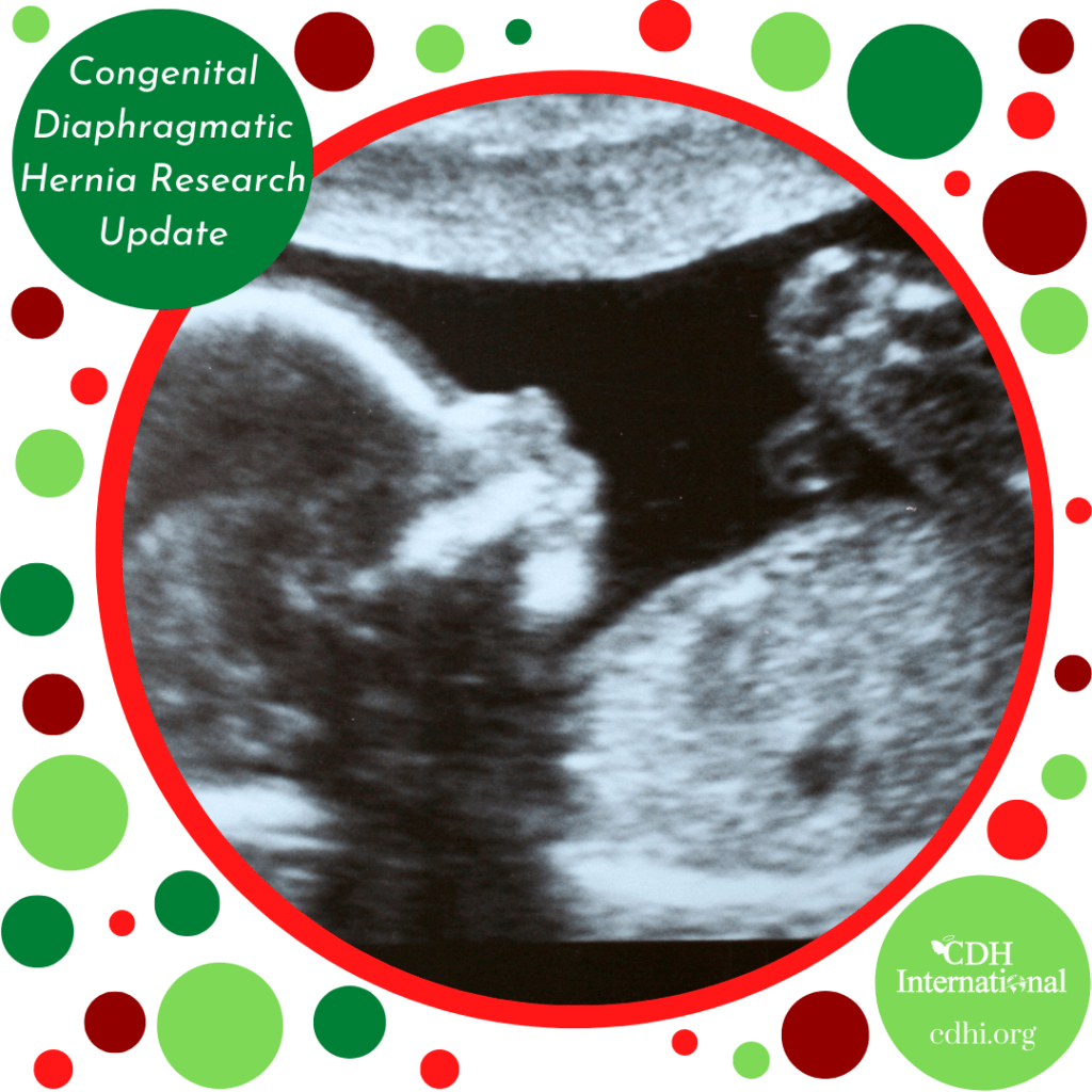 CDH Research International - Research: Fetoscopic Endoluminal Tracheal ...