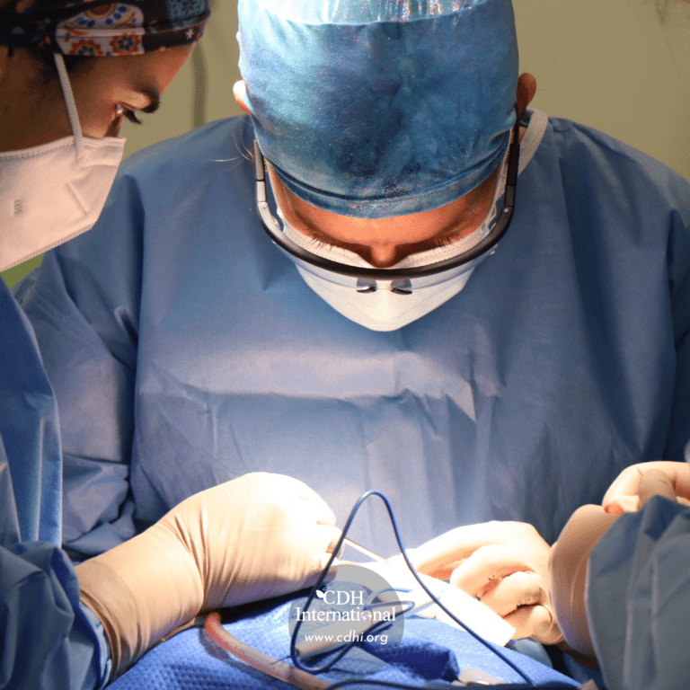 CDH International - A Global Initiative to Stop Congenital ...